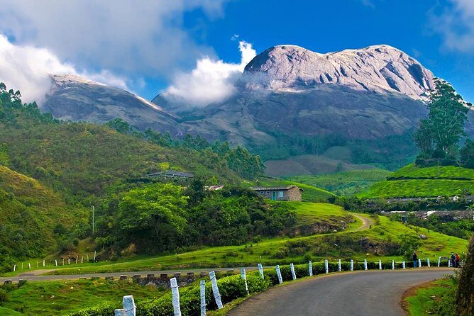 Affordable transfer from Kochi to Munnar - Why This Transfer Stands Out