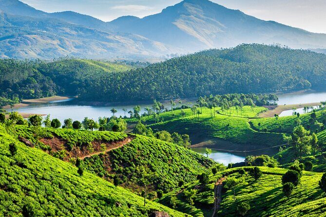 Affordable transfer from Kochi to Munnar - The Sum Up