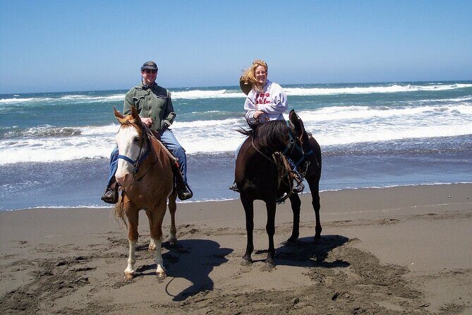 Afro-Mex Village Experience -Horseback Ride -Turtle Hatch & Crocs - Analyzing the Cost and Value