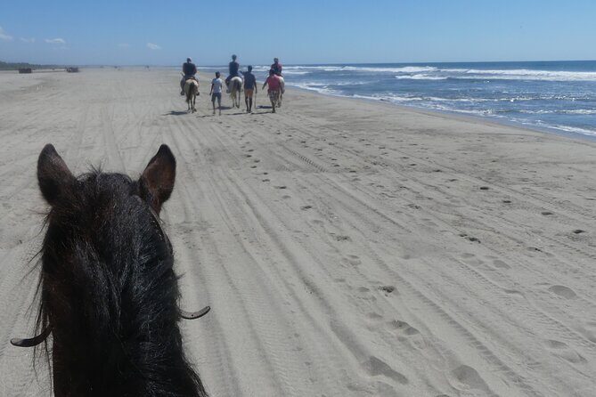 Afro-Mex Village Experience -Horseback Ride -Turtle Hatch & Crocs - Final Thoughts: Why Choose This Tour?