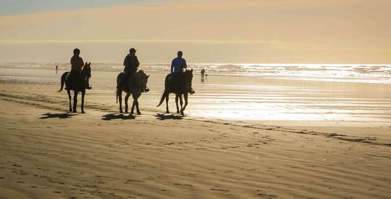 *Afro-Mex Village Horse Ride, Turtle Release Crocodile Farm - An Overview of the Experience