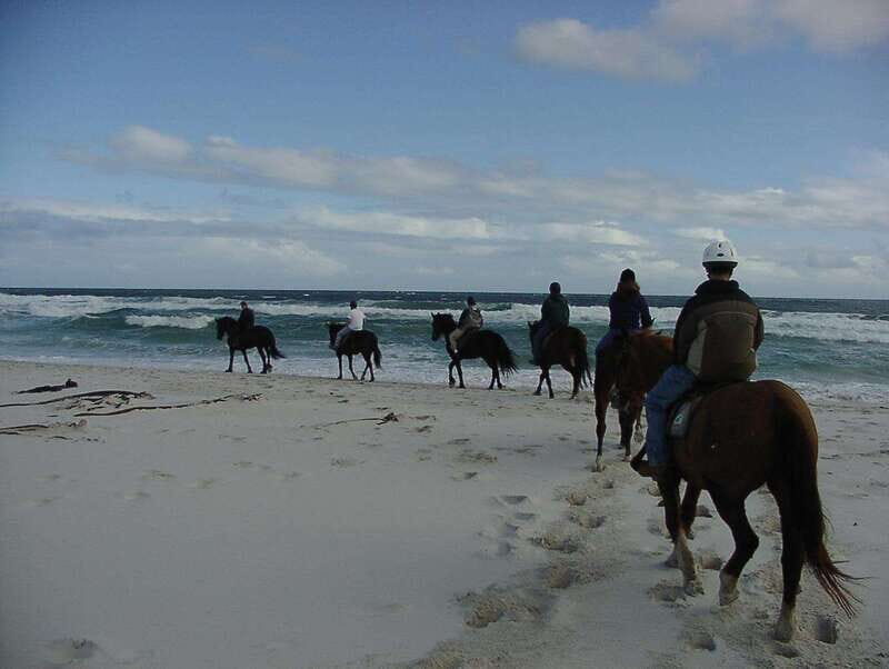 *Afro-Mex Village Horse Ride, Turtle Release Crocodile Farm - Practical Details: Timing, Transportation, and Cost