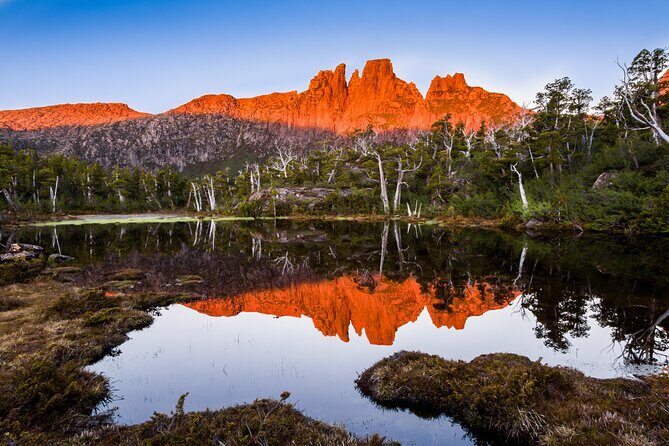 After Dark Tasmanian Devil Feeding Tour at Cradle Mountain - Who Is This Tour Best For?