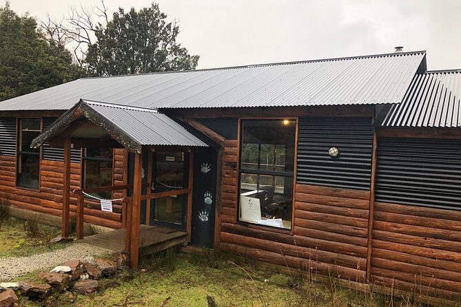 After Dark Tasmanian Devil Feeding Tour at Cradle Mountain - Final Words