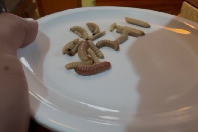 After the footsteps of Nacho Libre in Oaxaca - Transportation and Logistics