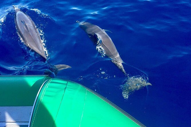Afternoon Adventure Snorkel from Ka'anapali - The Sum Up