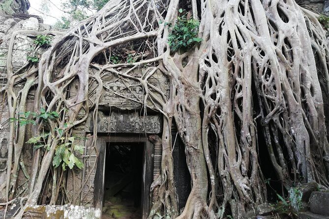 Afternoon Angkor Wat Private Tour with Sunset - Who Will Love This Tour?