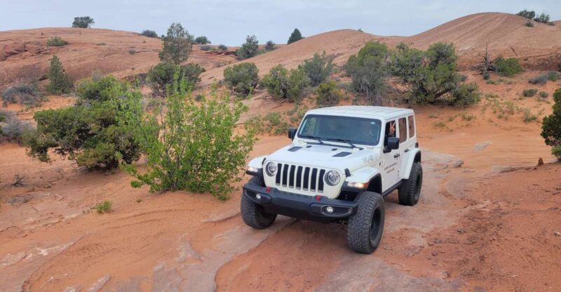 Afternoon Arches National Park 4x4 Tour - Exploring the Afternoon Arches National Park 4x4 Tour: An In-Depth Review