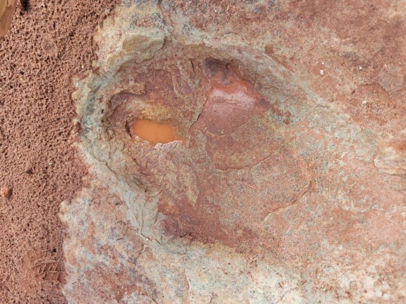 Afternoon Arches National Park 4x4 Tour - Frequently Asked Questions