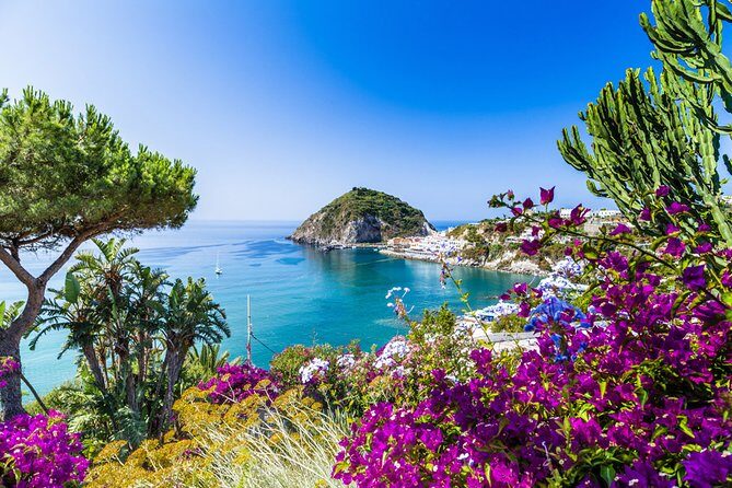 Afternoon Bus Tour of the Island of Ischia - The Experience: What You Can Expect