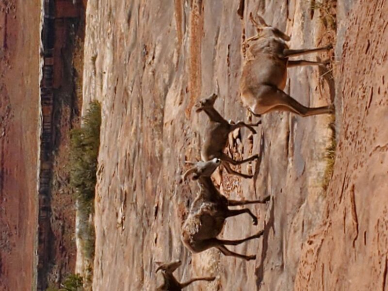 Afternoon Canyonlands Island In The Sky 4X4 Tour - A Closer Look at the Tour Itinerary
