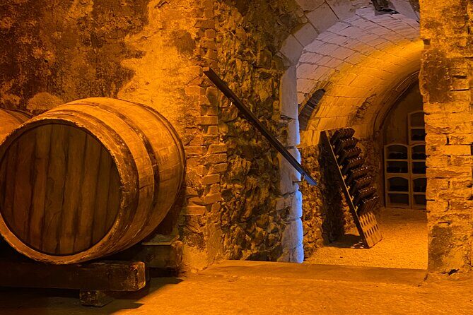 Afternoon Champagne visit & tasting class near Epernay - Value for Money and Practical Details