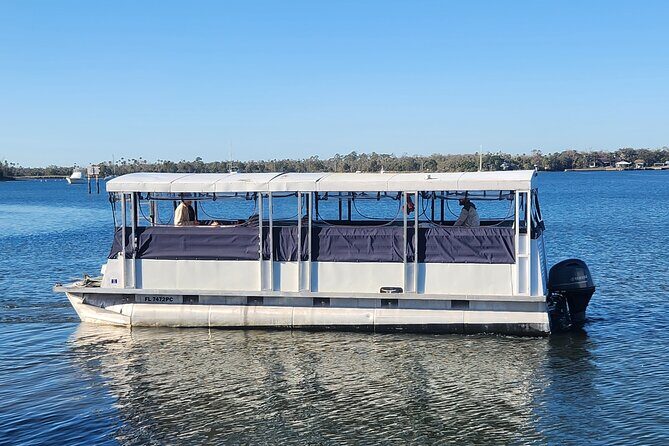 Afternoon Crystal River Ecological Boat Tour - What to Expect on the Crystal River Ecological Boat Tour