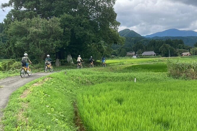Afternoon Cycling Tour in Naruko - An Introduction to the Experience: What You’re Signing Up For