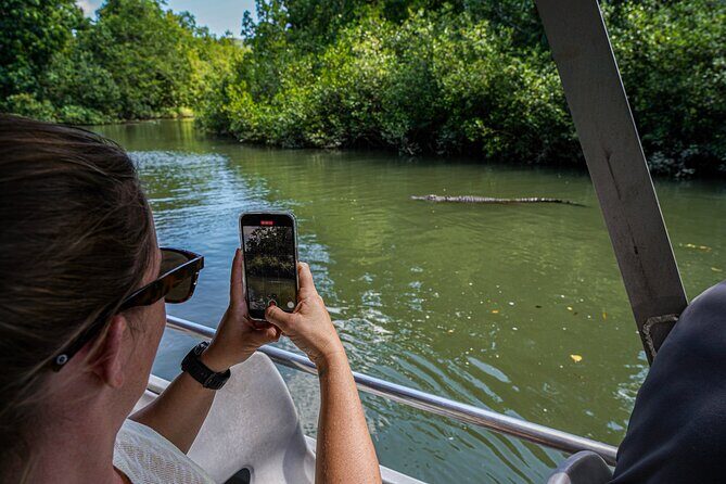 Afternoon Daintree Tour with River Cruise from Port Douglas - Frequently Asked Questions