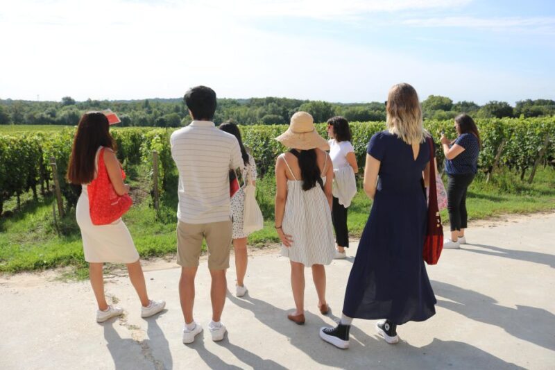 Afternoon Delight : A Wine Tour - A Close Look at the Tour Itinerary