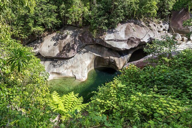 Afternoon & Evening Tour of Paronella Park - What Travelers Say: Authentic Feedback