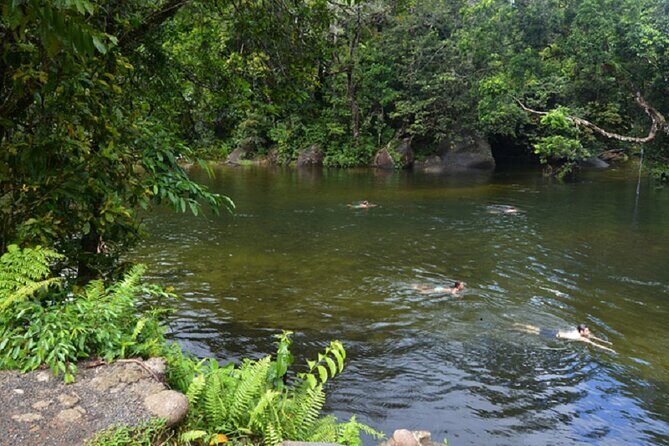 Afternoon & Evening Tour of Paronella Park - The Sum Up: Who Should Book?