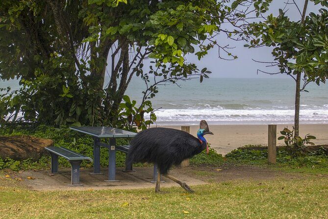 Afternoon & Evening Tour of Paronella Park - Frequently Asked Questions