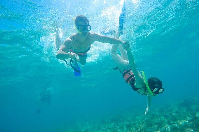 Afternoon Half-Day Catmaran Sailing and Snorkel Adventure - The Verdict: Who Should Sign Up?