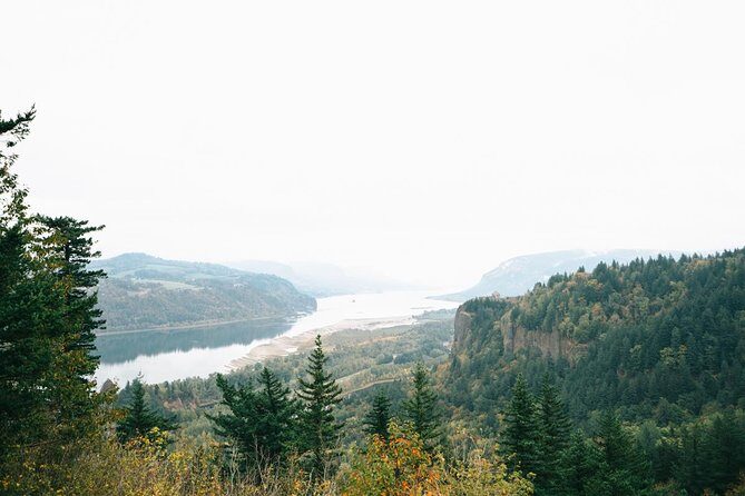 Afternoon Half-Day Multnomah Falls and Columbia River Gorge Waterfalls Tour from Portland - Why This Tour Works Well for Different Travelers
