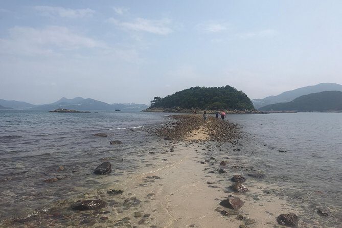 Afternoon Hiking Tour Sharp Island Geopark - Key Points
