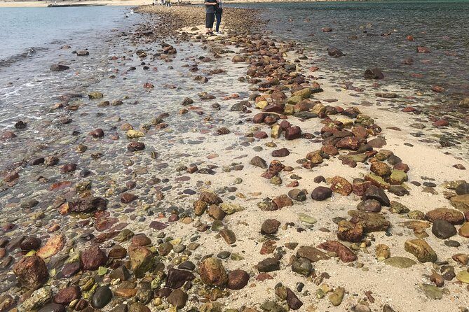 Afternoon Hiking Tour Sharp Island Geopark - Benefits of a Guided Nature Walk