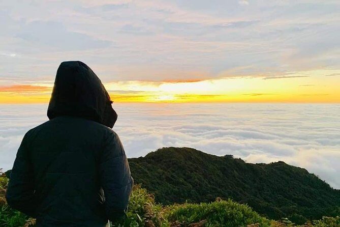 Afternoon limousine D-car 8-seat transfer to Hanoi depart from Sapa Town center - Inside the Vehicle: Comfort Features Make a Difference