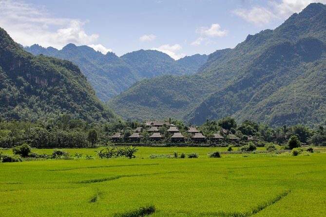 Afternoon Limousine Transfer Mai Chau to Hanoi 5 hours from Mai Chau - What Past Travelers Say
