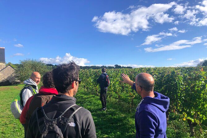 Afternoon Loire Valley Wine Tour from Tours or Amboise - FAQ