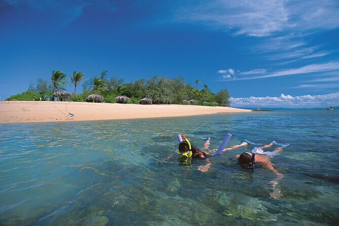 Afternoon Low Isles Snorkelling & Sunset Sail from Port Douglas - Authentic Insights from Reviews