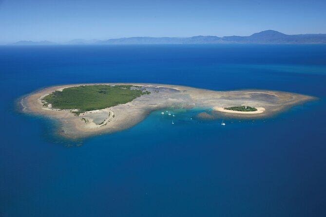 Afternoon Low Isles Snorkelling & Sunset Sail from Port Douglas - Who Will Love This Tour?