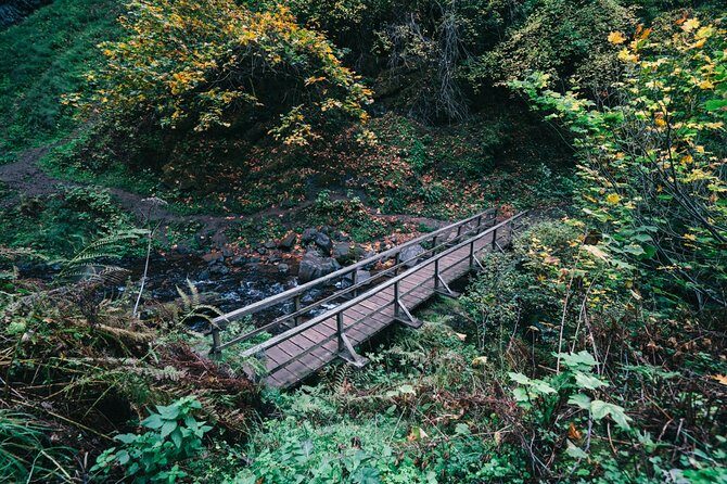 Afternoon Multnomah Falls and Gorge Waterfalls Tour - The Benefits of a Private Guided Tour