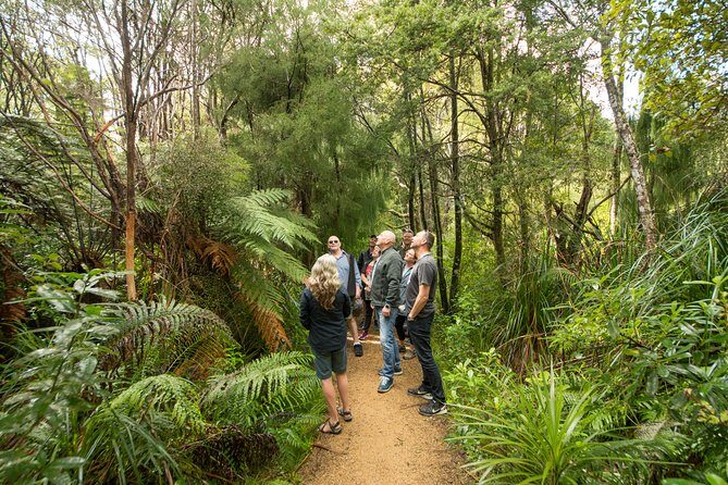 Afternoon Piha Beach and Rainforest Tour from Auckland - Authenticity and Unique Touches