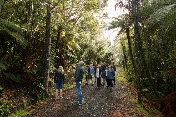 Afternoon Piha Beach and Rainforest Tour from Auckland - FAQ