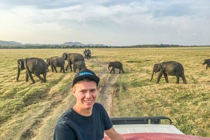 Afternoon Safari at Minneriya National Park - Key Points