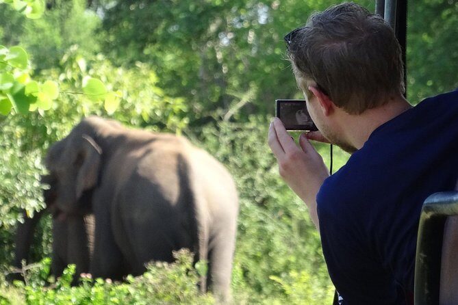 Afternoon Safari to Yala National Park - Key Points