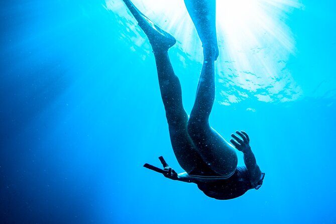 Afternoon snorkelling guided by a marine biologist in Sorrento - Authentic Experiences as Reflected in Reviews