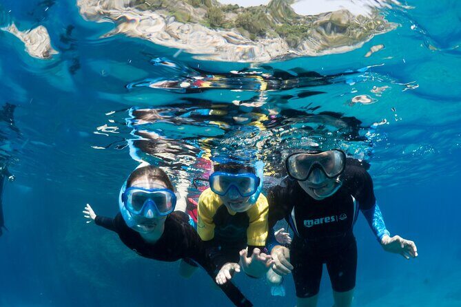 Afternoon snorkelling guided by a marine biologist in Sorrento - The Sum Up