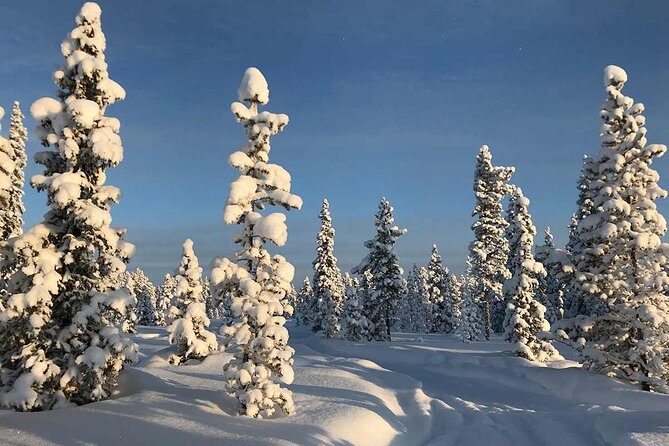 Afternoon Snowmobile Tour - FAQs