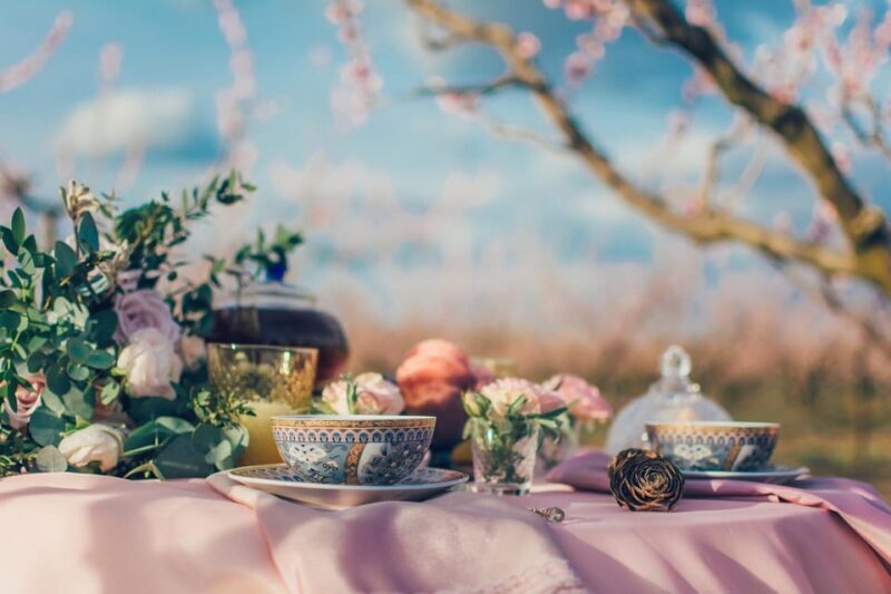 Afternoon Tea at Konopit Castle: Aristocratic Tradition - Key Points