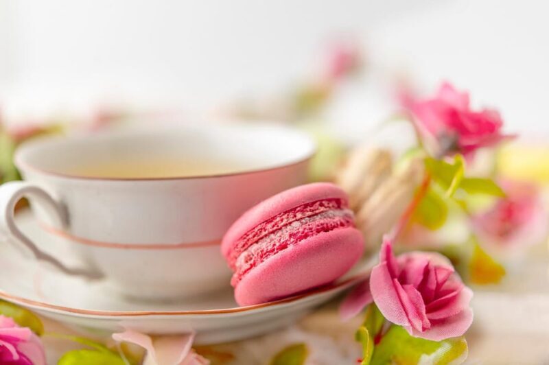 Afternoon Tea at Konopit Castle: Aristocratic Tradition - The full itinerary: What you can expect