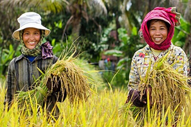 Afternoon tour to Original Bamboo train. Bat cave. Killing cave - Key Points