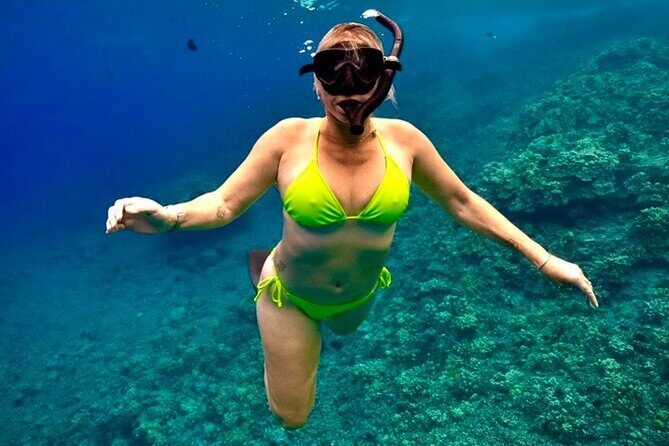 Afternoon Turtle Town Snorkel at Coral Gardens - Who Will Love This Tour?