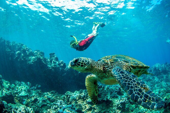 Afternoon West Maui Snorkel from Kaanapali Beach - The Downside Considerations