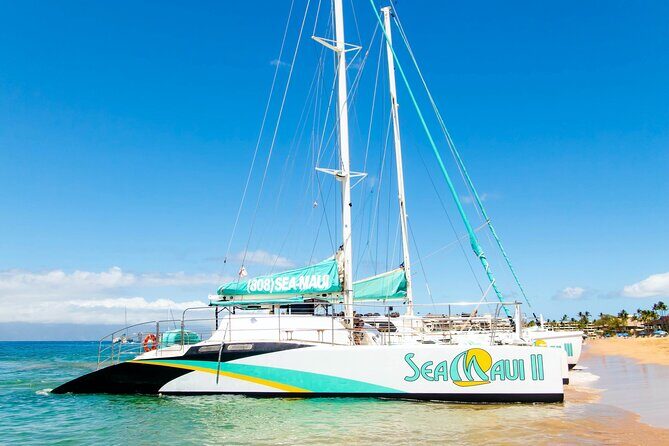 Afternoon West Maui Snorkel from Kaanapali Beach - Who This Tour Is Perfect For
