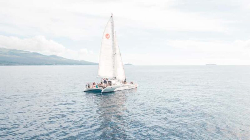 Afternoon Whale Watch from Lahaina - Who Will Love This Tour?