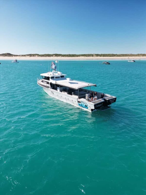 Afternoon Whale Watching Cruise in Broome - What to Expect: An In-Depth Look at the Tour