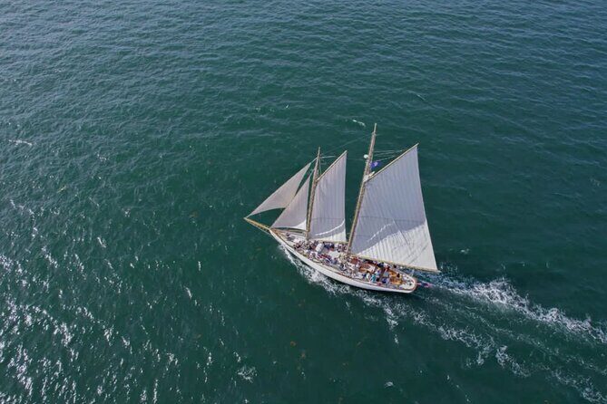 Afternoon Windjammer Cruise Along the Coast of Portland Maine - Accessibility and Logistics