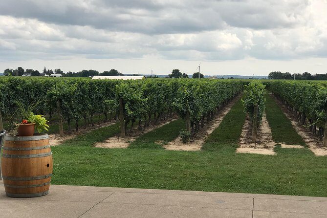 Afternoon Wine, Beer & Charcuterie Tour - Who Will Love This Tour?